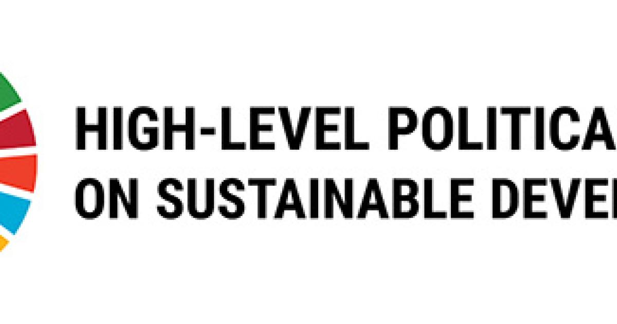 High Level Political Forum 2021 | Localizing the SDGs